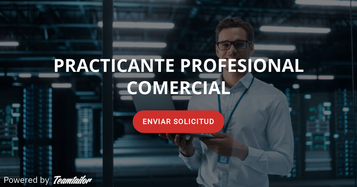 PRACTICANTE PROFESIONAL COMERCIAL - Hunters Group