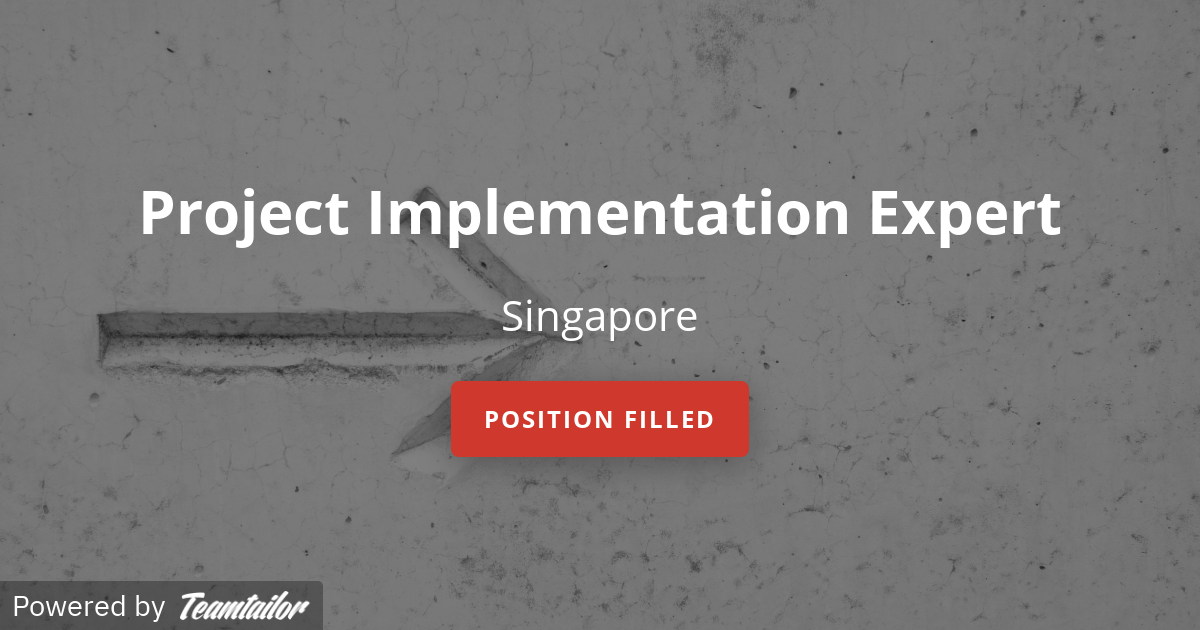 Project Implementation Expert - Bridge Et Al.