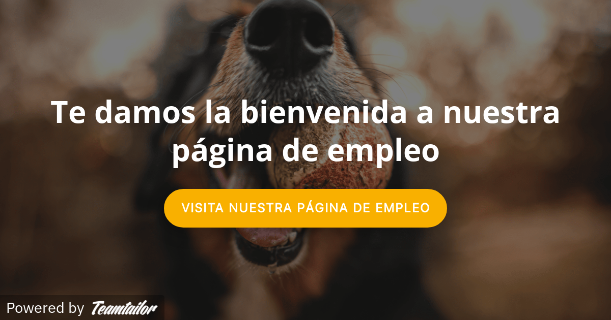 Hola! ¿Quieres unirte a nuestro equipo GUAW? - GUAW