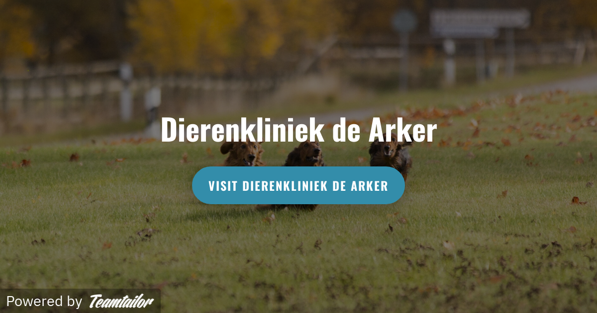 De Arker - IVC Evidensia Nederland