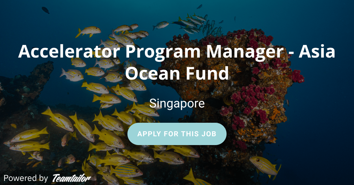 Accelerator Program Manager - Asia Ocean Fund - Katapult