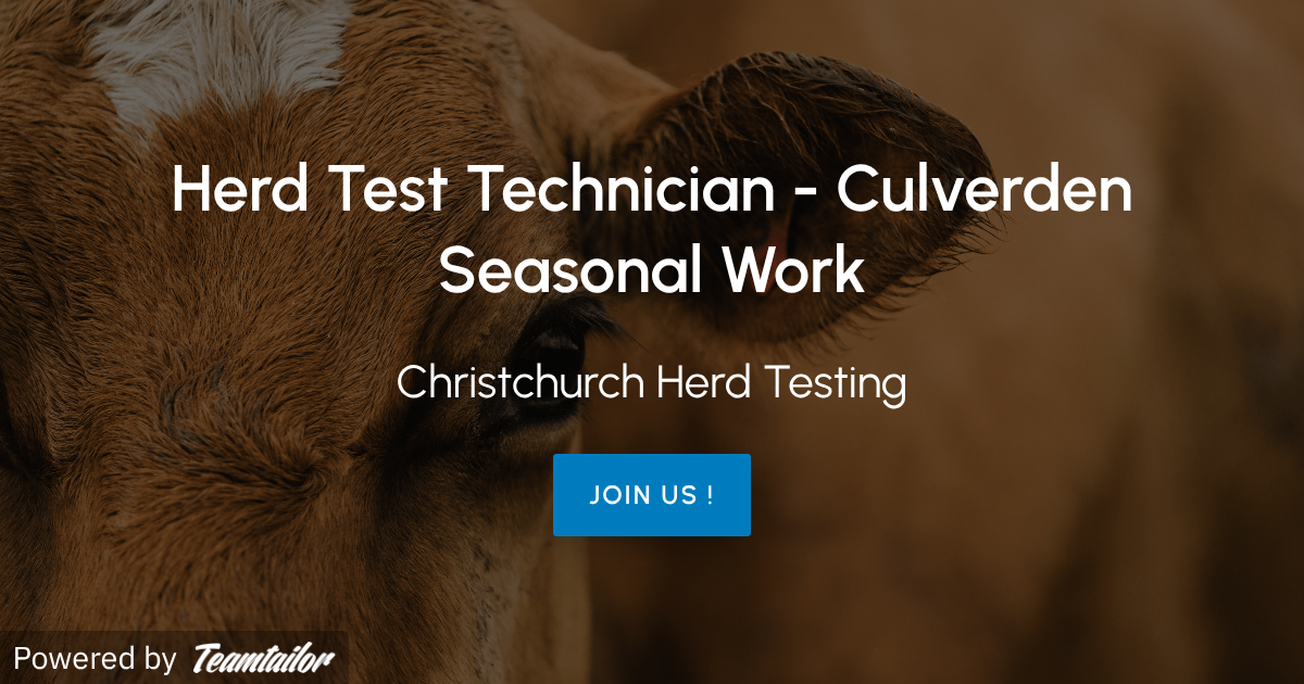 Herd Test Technician - Culverden Seasonal Work - Livestock Improvement ...