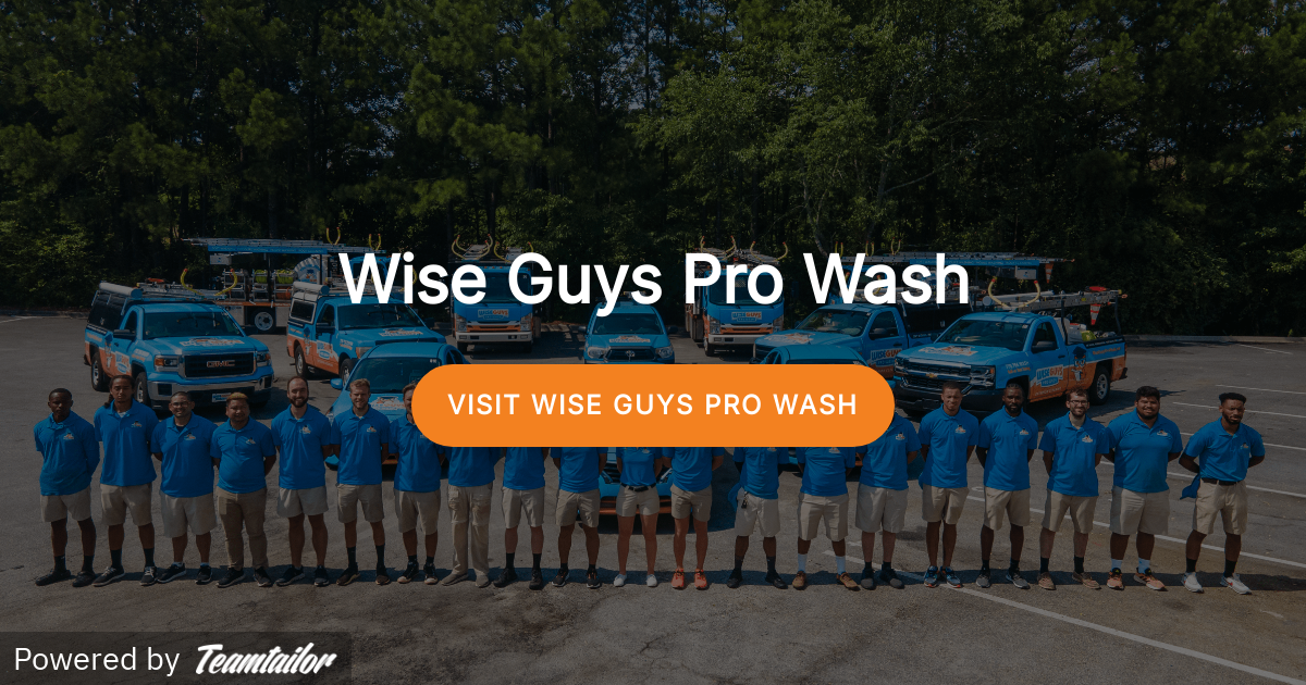 Welcome to WiseGuys Pro-Wash! - WiseGuys Pro-Wash