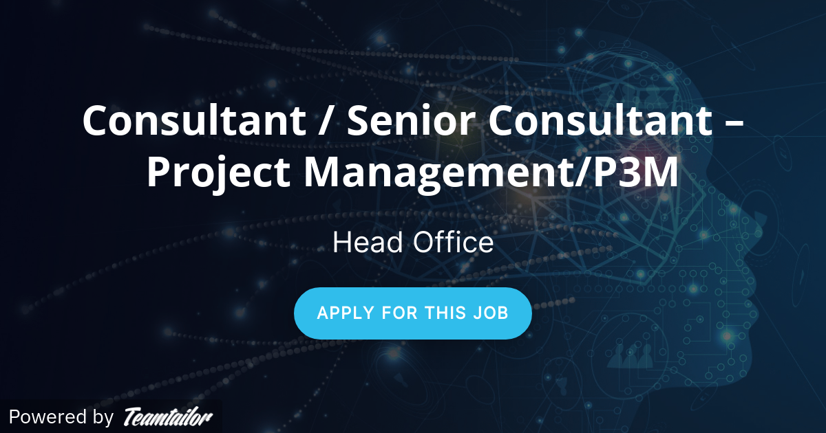 Consultant / Senior Consultant – Project Management/P3M - i3Works