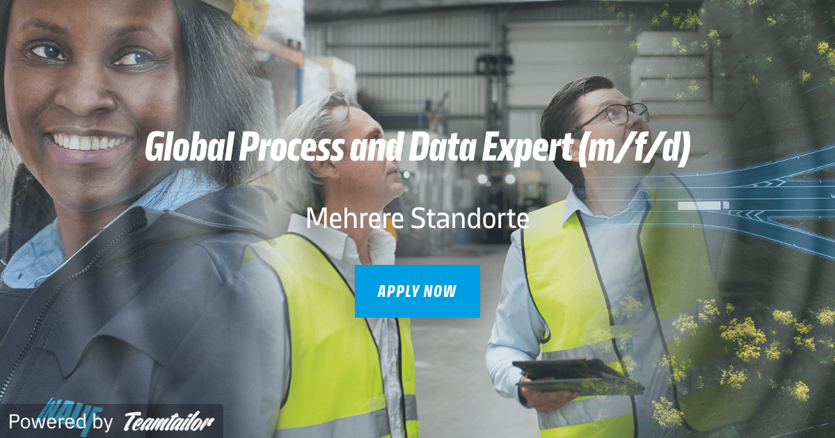 Global Process and Data Expert (m/f/d) - Knauf Deutschland