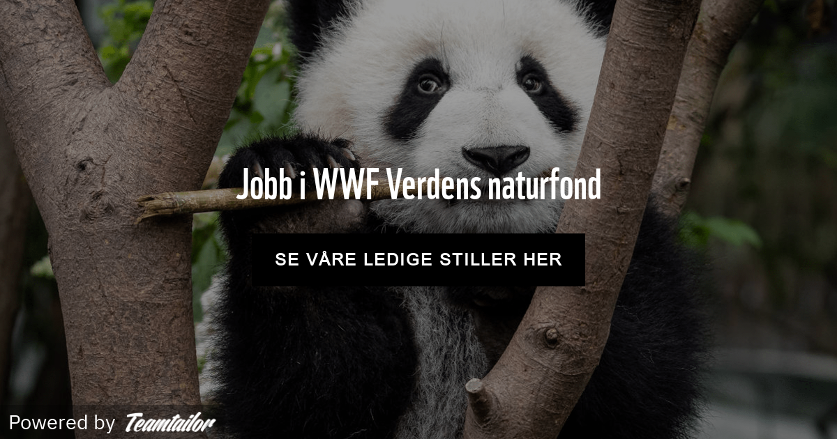 Ledige stillinger i WWF Verdens naturfond - WWF Verdens naturfond