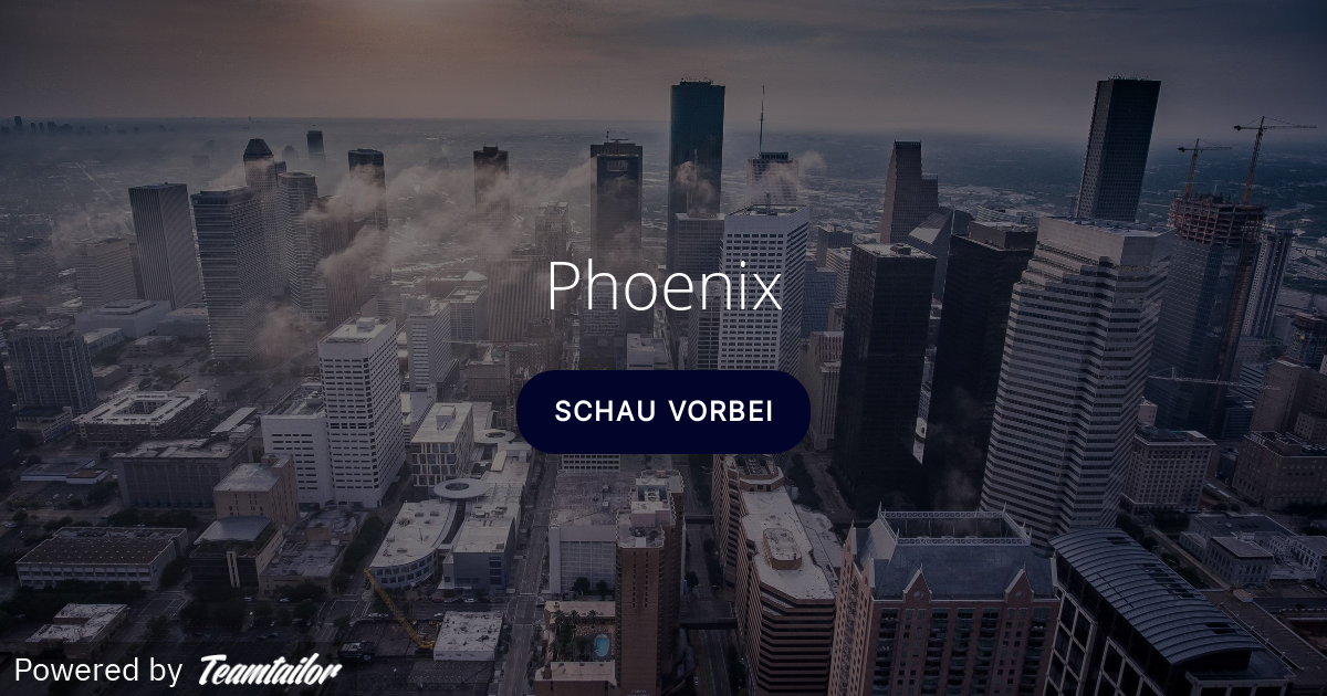 Phoenix - The Customization Group