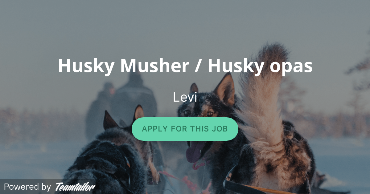 Husky Musher / Husky opas - Northern Lights Village