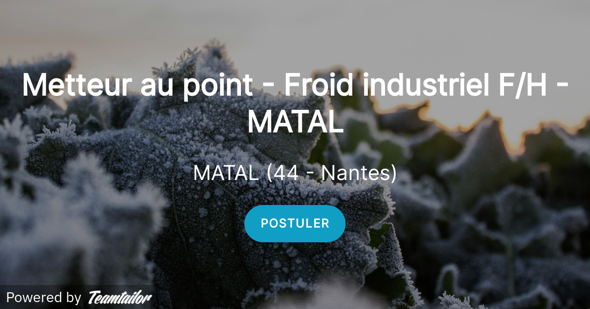 Metteur au point - Froid industriel F/H - MATAL - Syclef