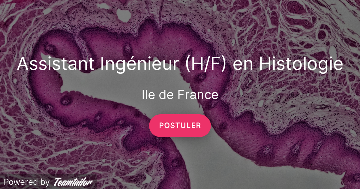 Assistant Ingénieur (H/F) en Histologie - Inovarion