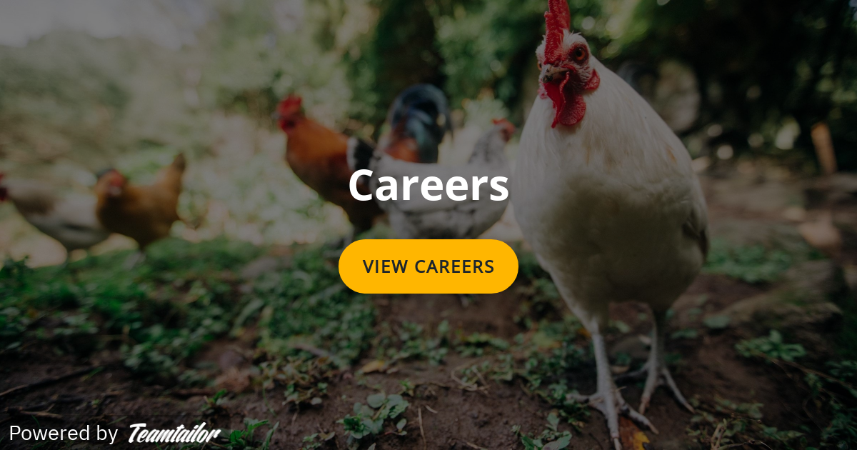 Careers - The Humane League UK