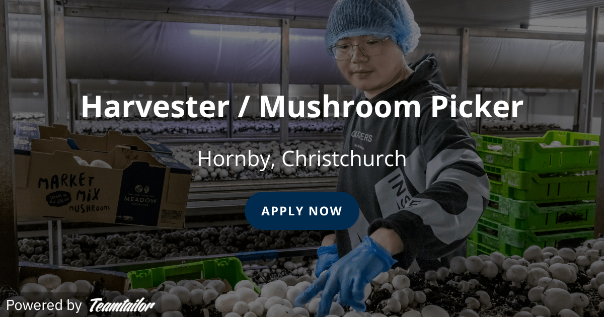 Harvester / Mushroom Picker - Meadow Mushrooms