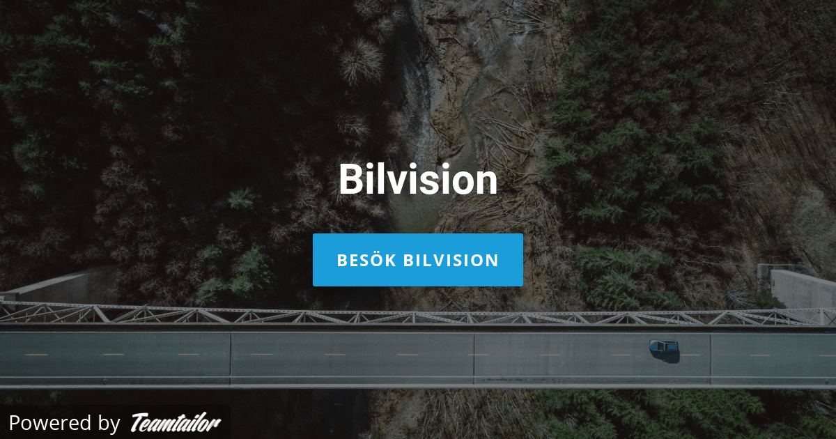 Frihet under ansvar - Bilvision