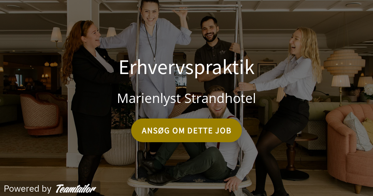 Erhvervspraktik - Ess group Danmark