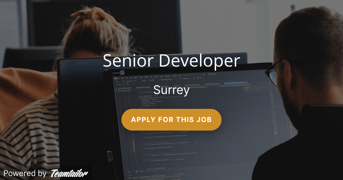 Senior Developer - Vicit