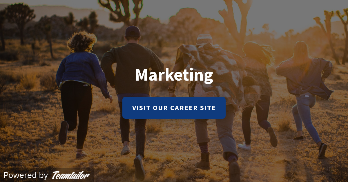 Marketing - Training Orchestra