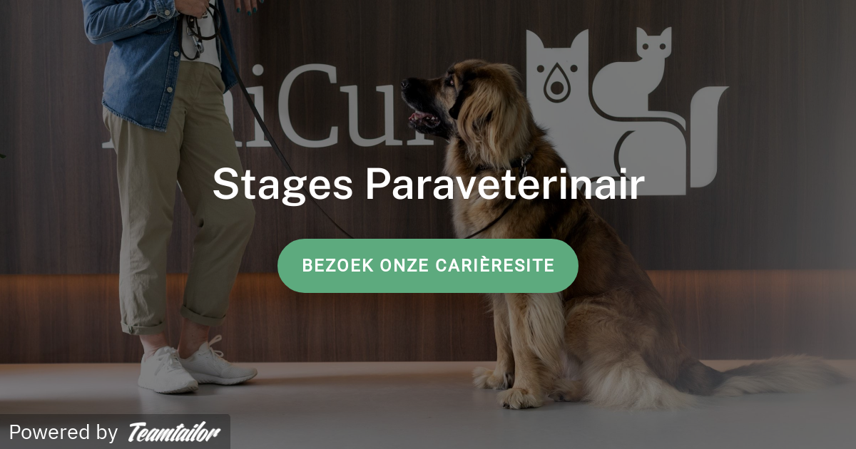 Stages Paraveterinair - AniCura Nederland Stagebank