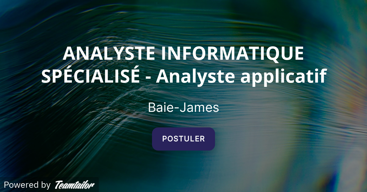 ANALYSTE INFORMATIQUE SPÉCIALISÉ - Analyste applicatif - Workin Group
