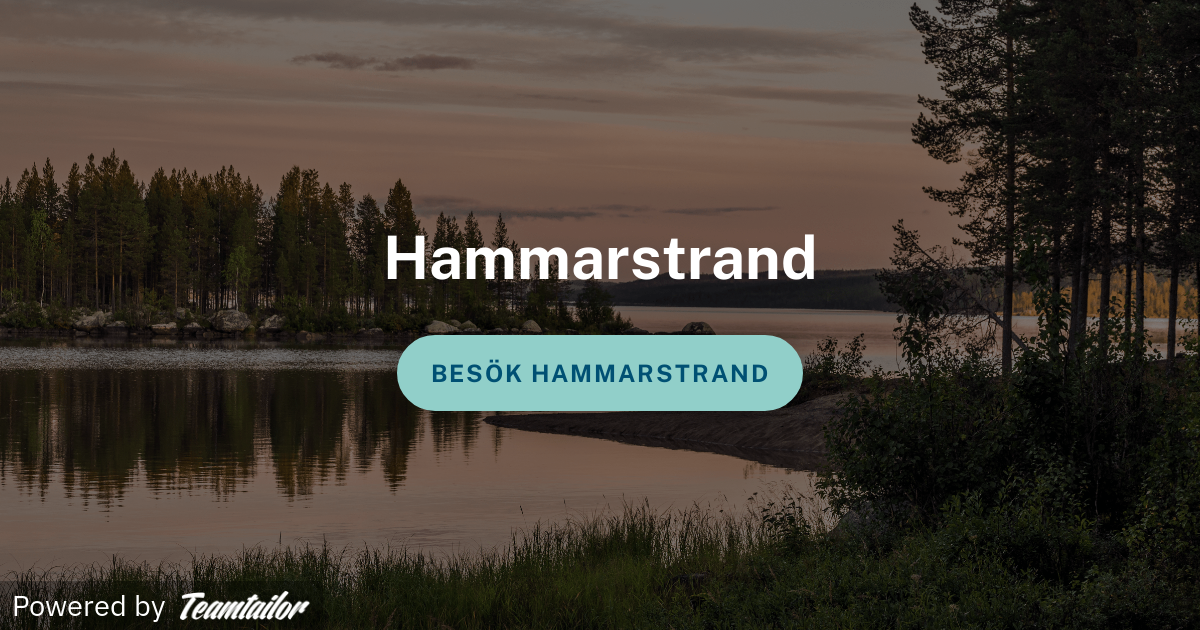 Hammarstrand - Svedea AB