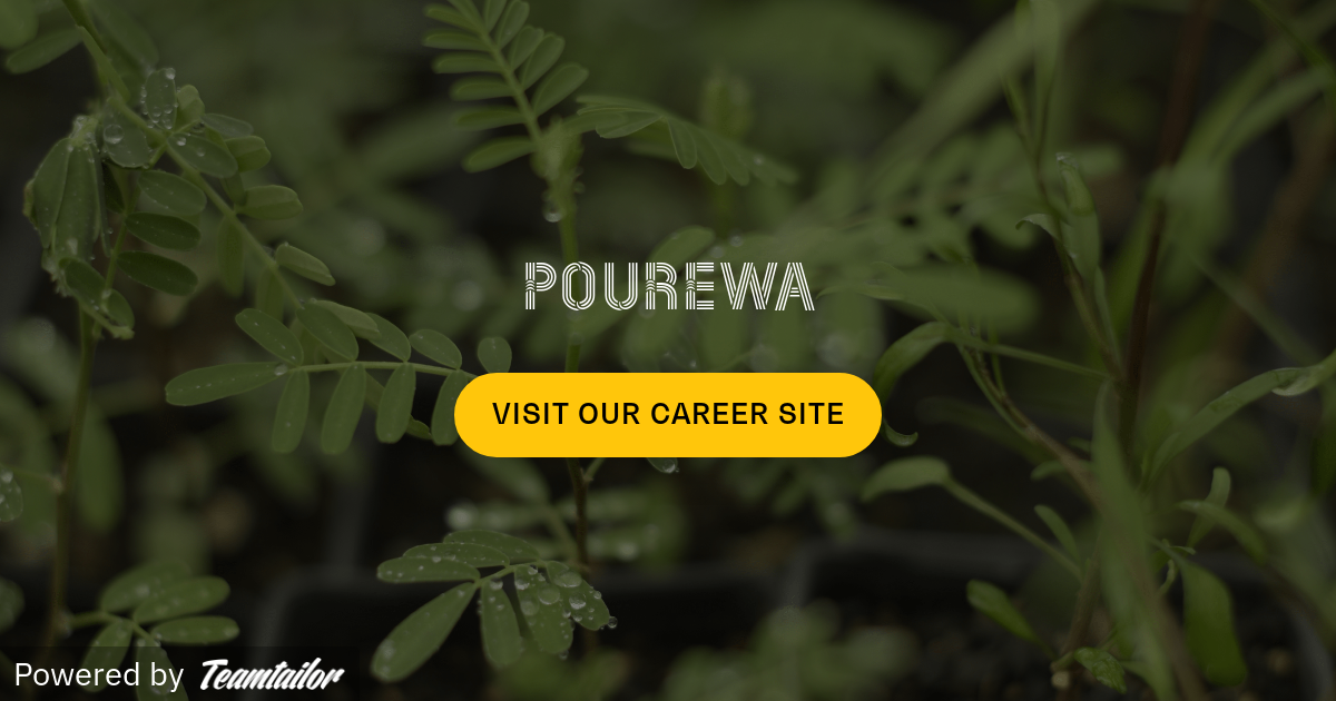 Te Pourewa - Ngāti Whātua Ōrākei