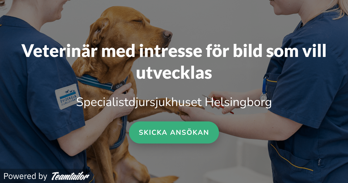 Veterinär med intresse för bild som vill utvecklas - Evidensia Djursjukvård