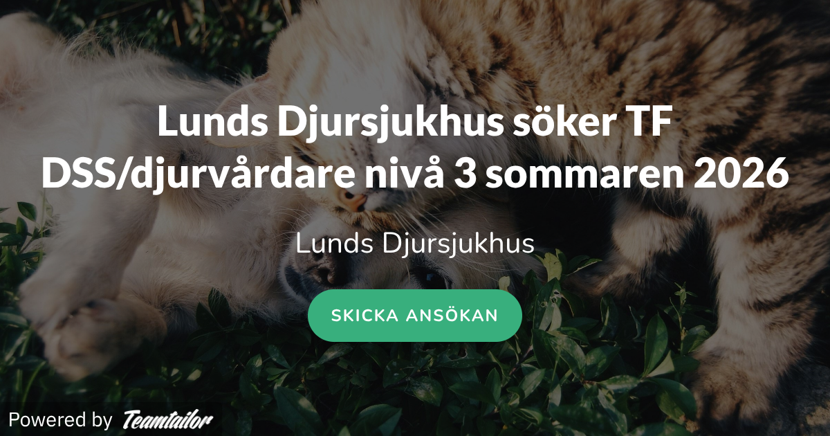 Lunds Djursjukhus söker TF DSS/djurvårdare nivå 3 sommaren 2026 ...