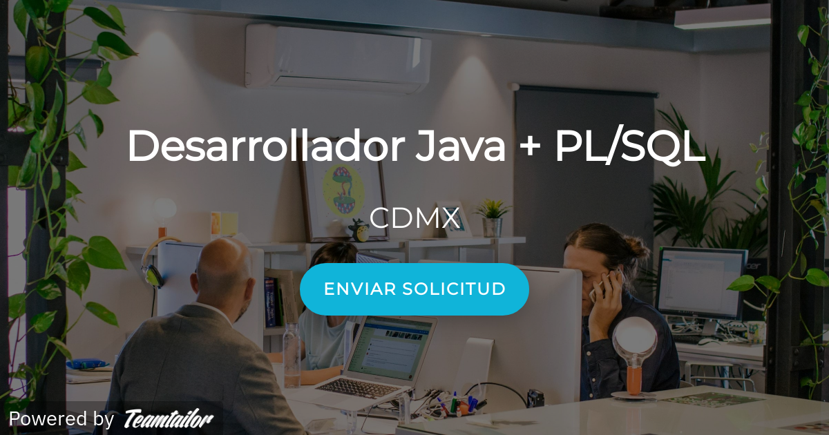 Desarrollador Java + PL/SQL - CRH Talento de IT