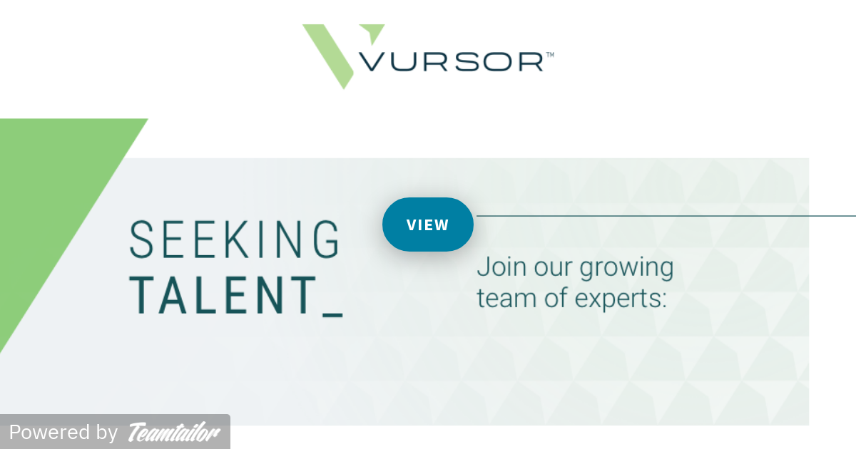 Vursor - SystemsAccountants