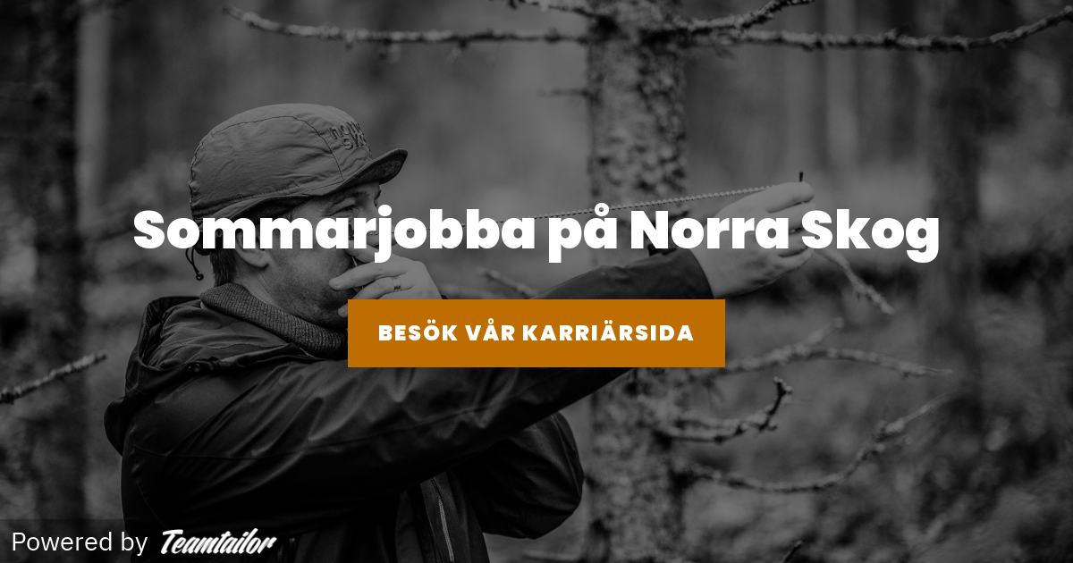Sommarjobba hos oss - Norra Skog