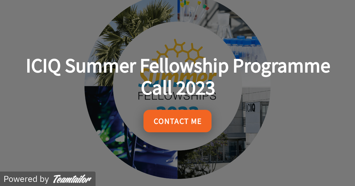 ICIQ Summer Fellowship Programme Call 2023 - ICIQ