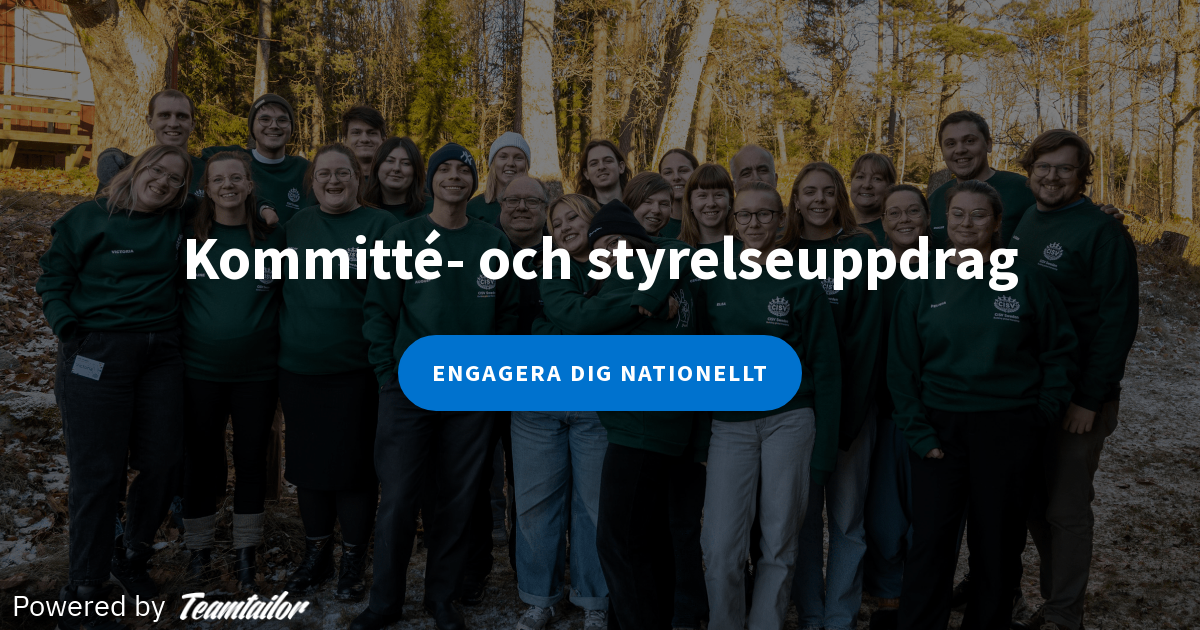 Kommitté- och styrelseuppdrag - CISV Sweden