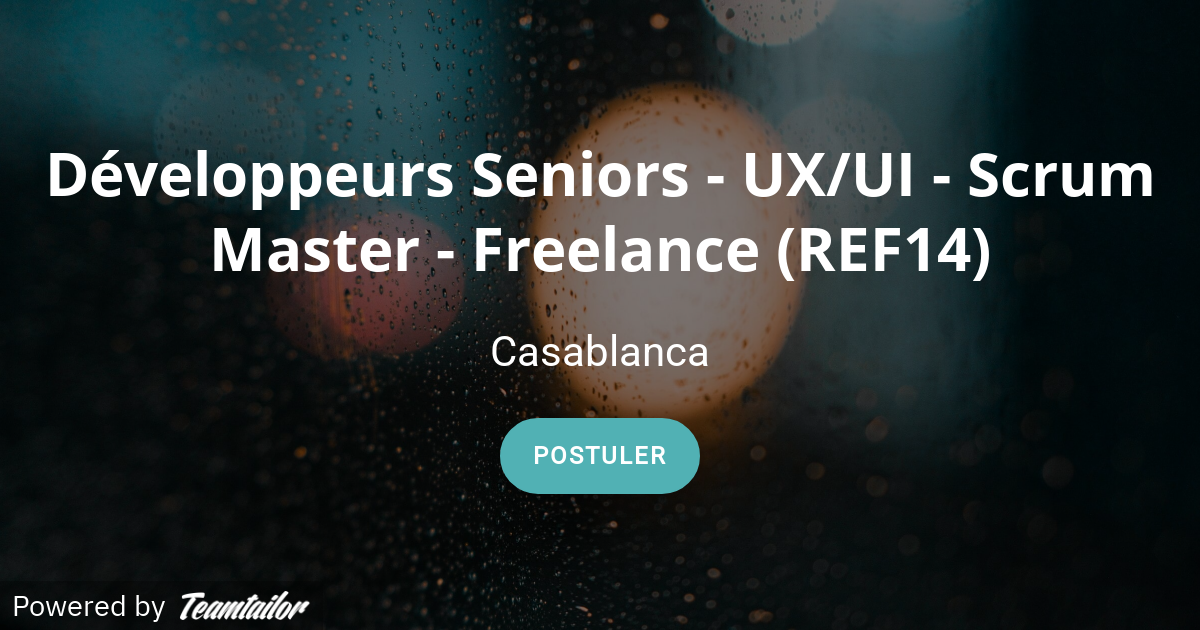 Développeurs Seniors - UX/UI - Scrum Master - Freelance (REF14 ...