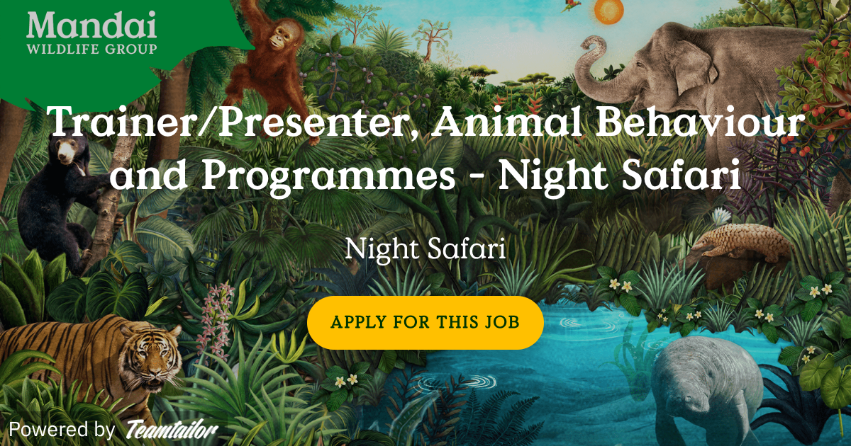 Trainer/Presenter, Animal Behaviour and Programmes - Night Safari ...