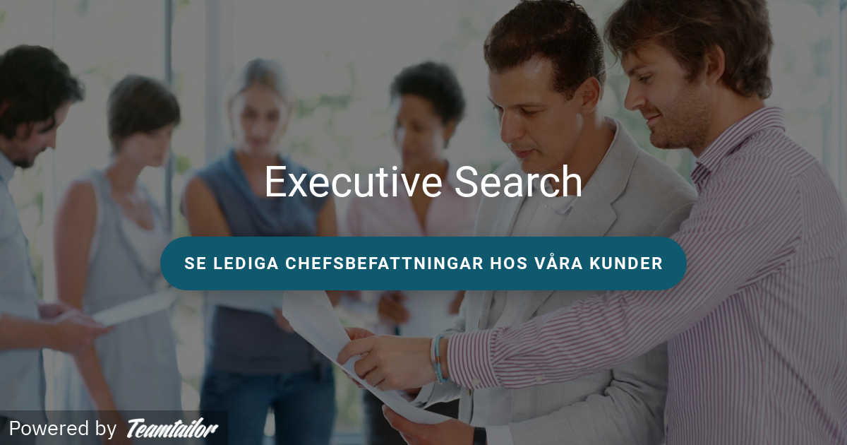 Executive Search - ICT Additude