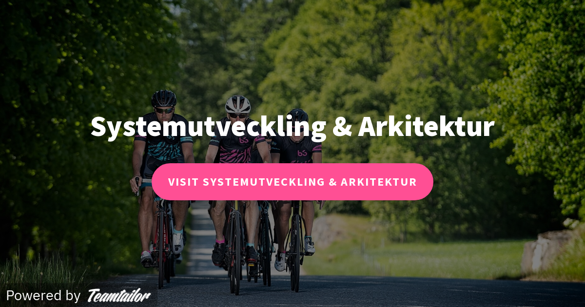 Systemutveckling & Arkitektur - B3 Consulting Group