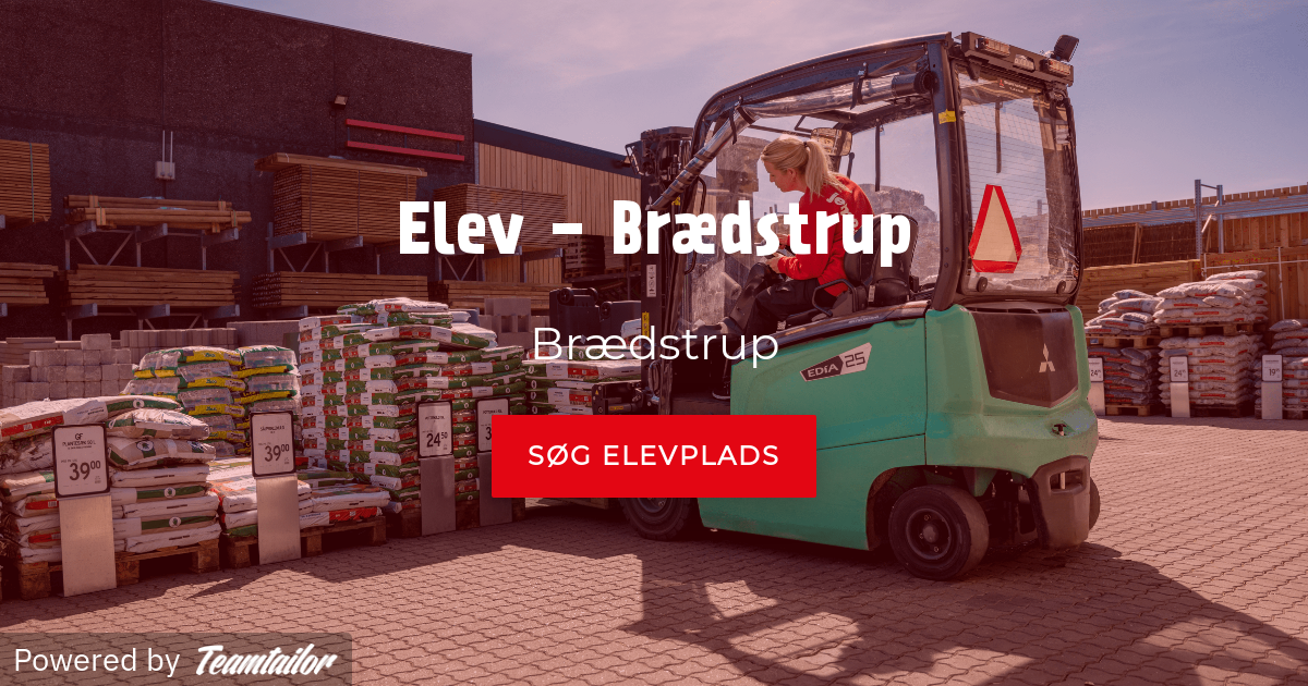 Elev - Brædstrup - jem & fix