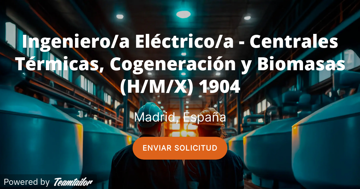 Ingeniero/a Eléctrico/a - Centrales Térmicas, Cogeneración y Biomasas ...