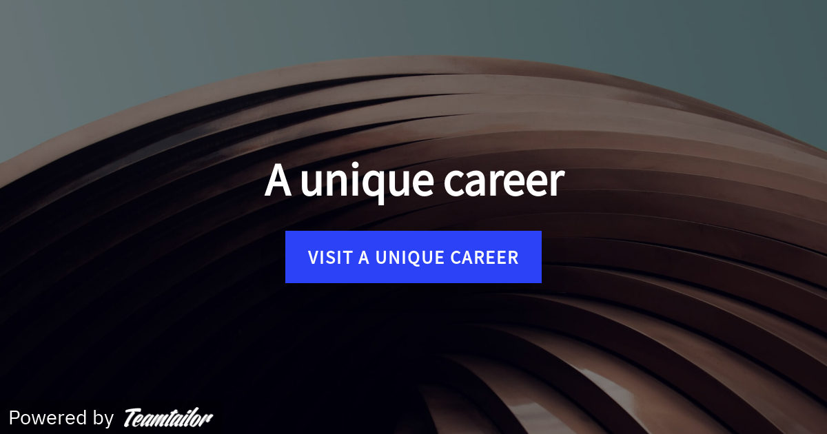 A unique career - Levi9 Serbia