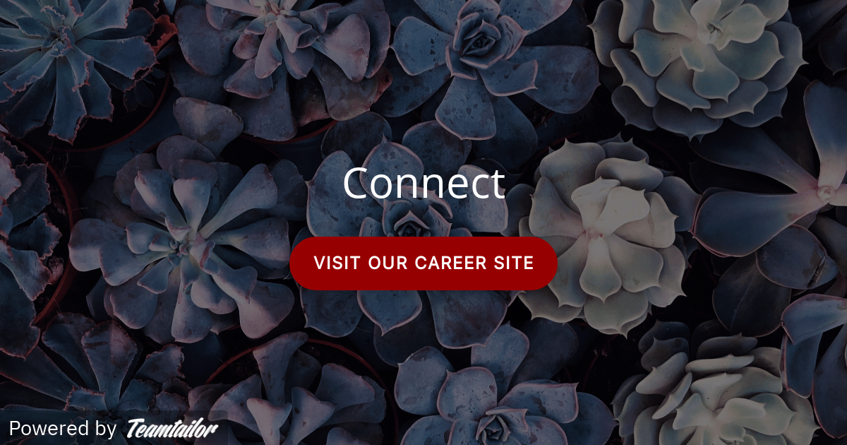 CIP Global Executive Search – Connect