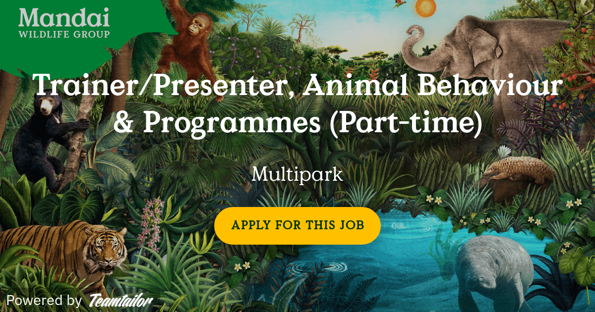 Trainer/Presenter, Animal Behaviour & Programmes (Part-time) - Mandai ...