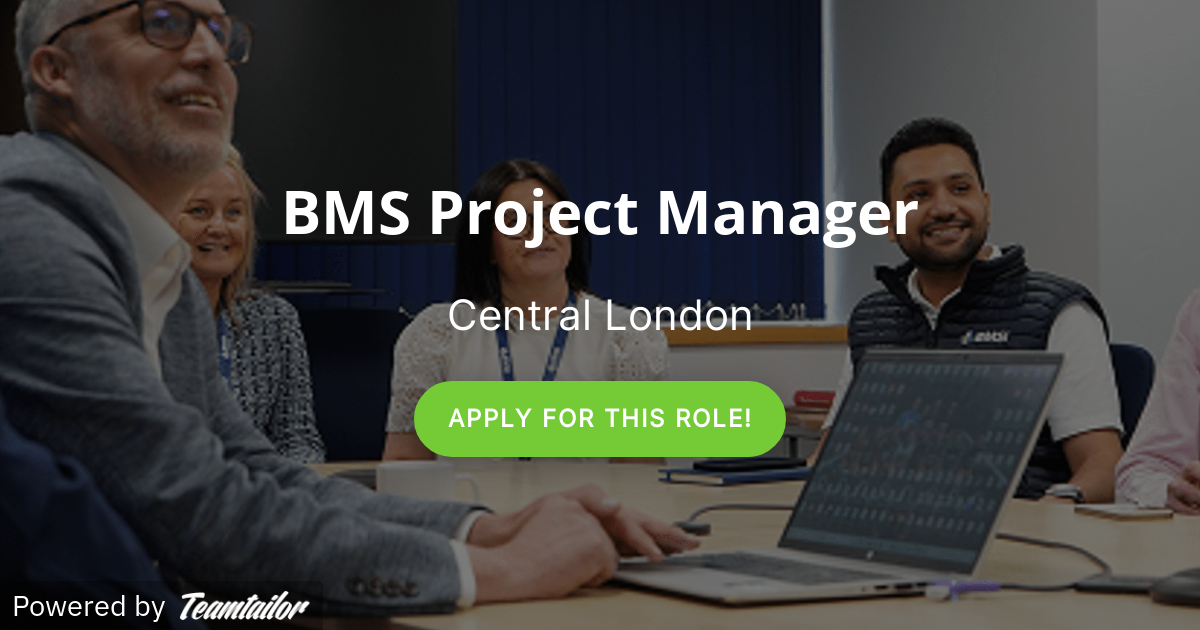BMS Project Manager - BMSI