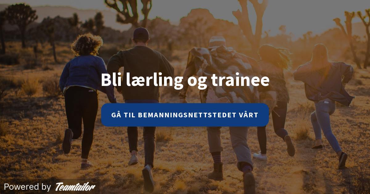 Bli lærling og trainee - Ø.M. Fjeld