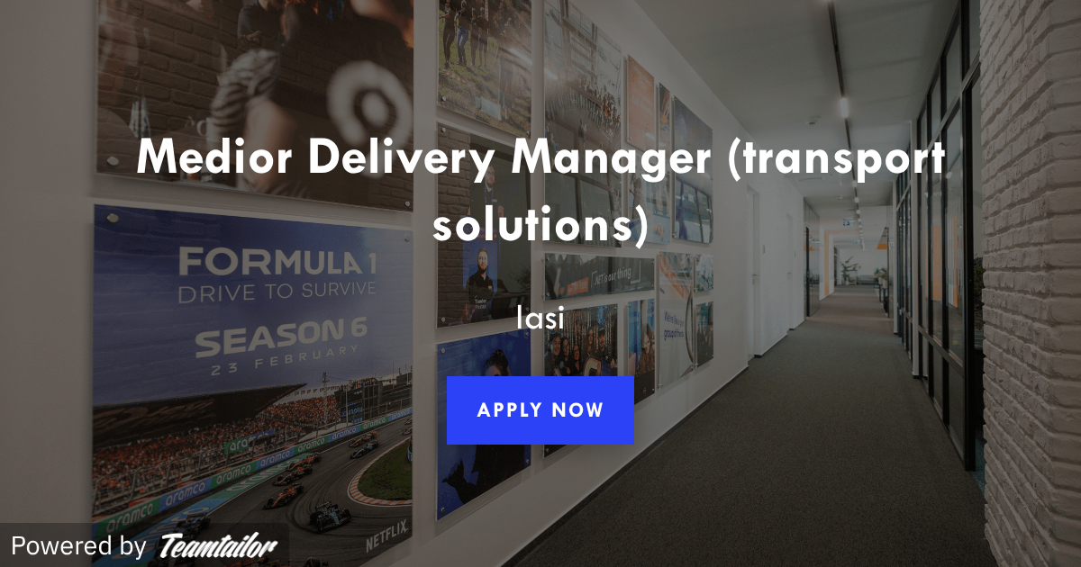 Medior Delivery Manager (transport solutions) - Levi9 Romania