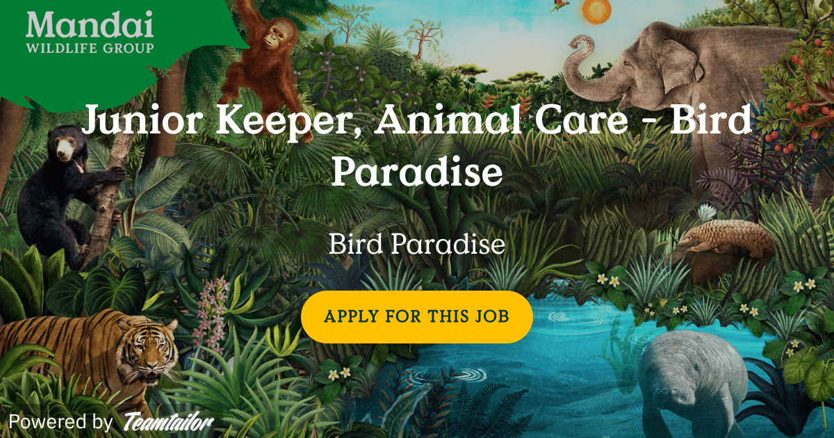 Junior Keeper, Animal Care - Bird Paradise - Mandai Wildlife Group