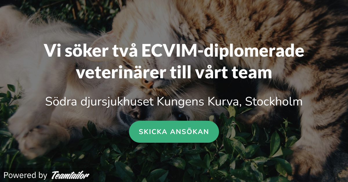 Vi söker två ECVIM-diplomerade veterinärer till vårt team - Evidensia ...