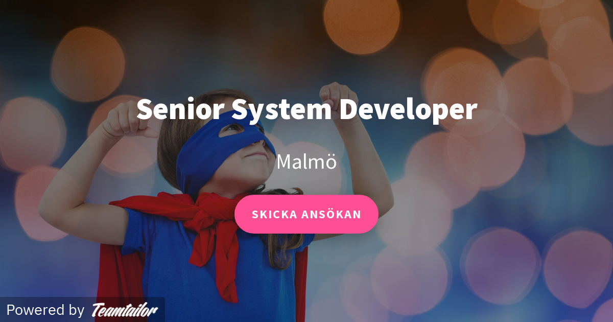 Senior System Developer - B3 Consulting Group