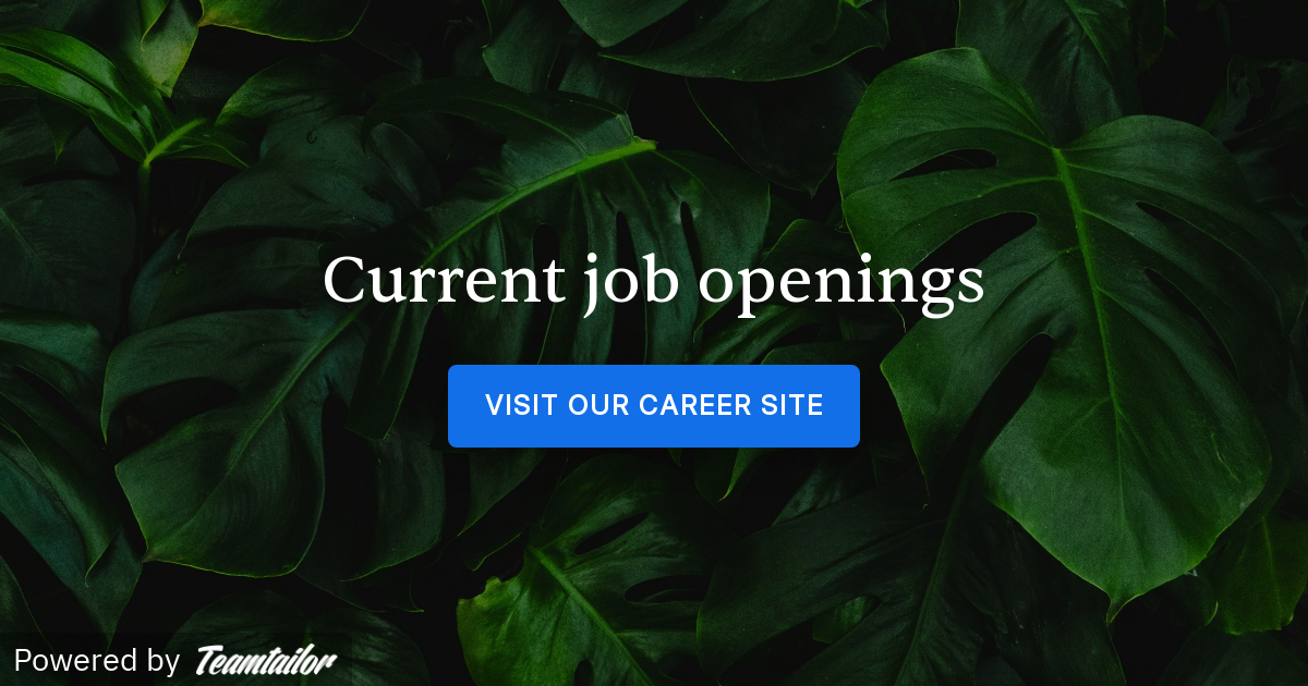 Current job openings - Mintos