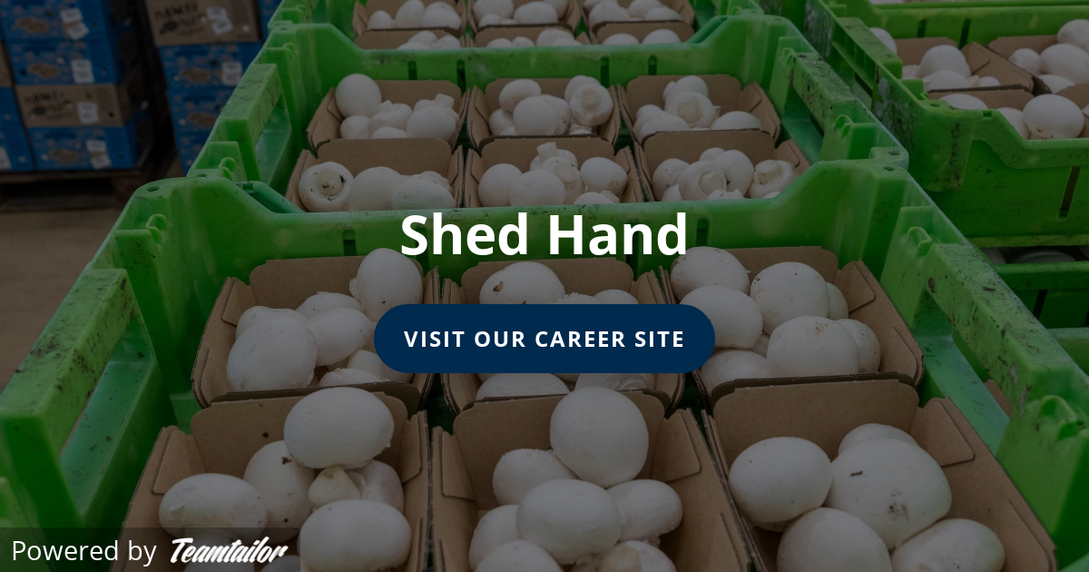 Shed Hand - Meadow Mushrooms