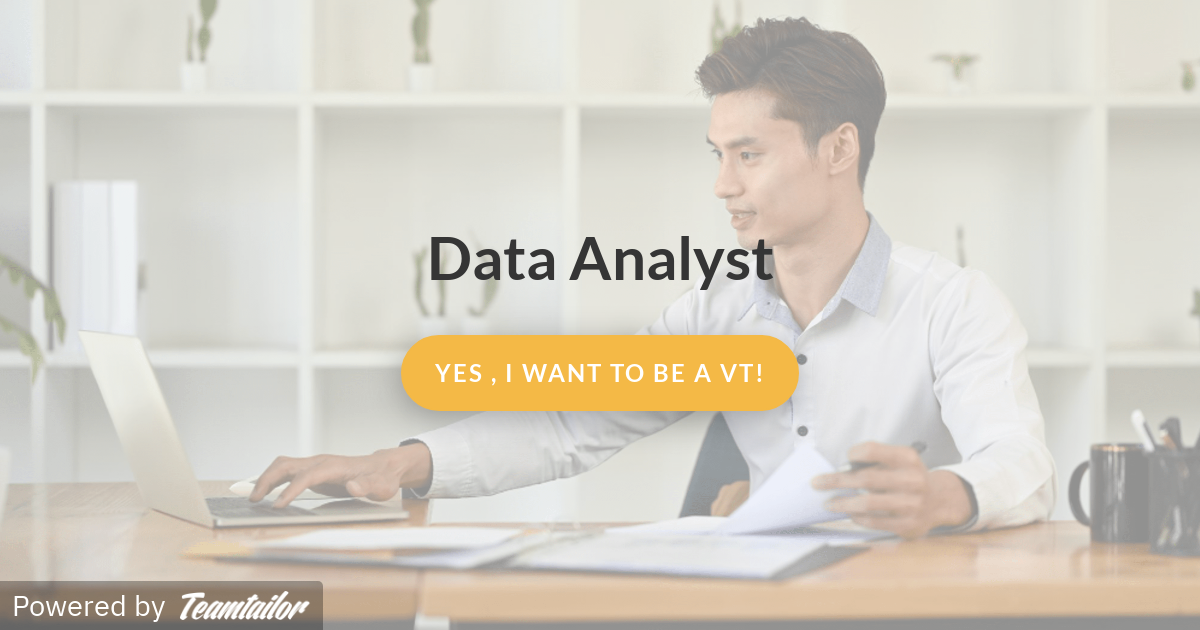Data Analyst - Virtual Teammate