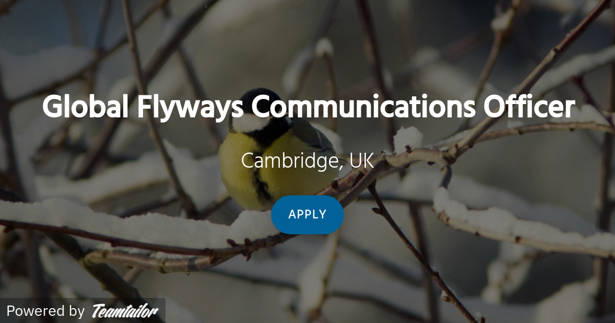 Global Flyways Communications Officer - BirdLife International